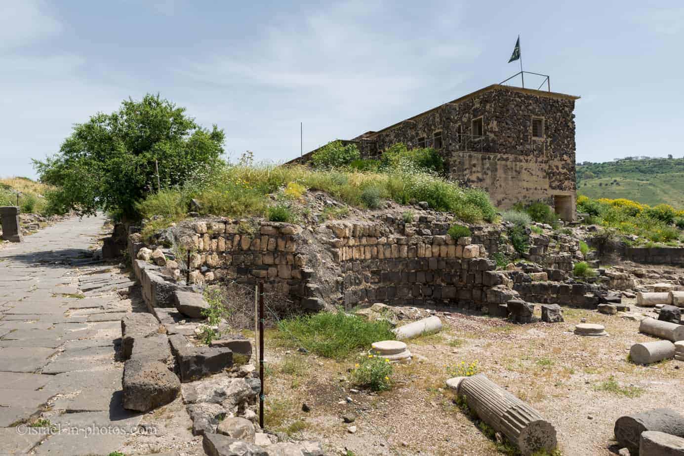 Susita National Park (Hippos) - Visitors Guide - Israel in Photos