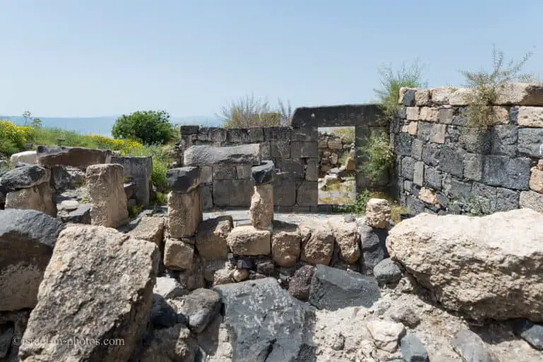 Susita National Park (Hippos) - Visitors Guide - Israel in Photos