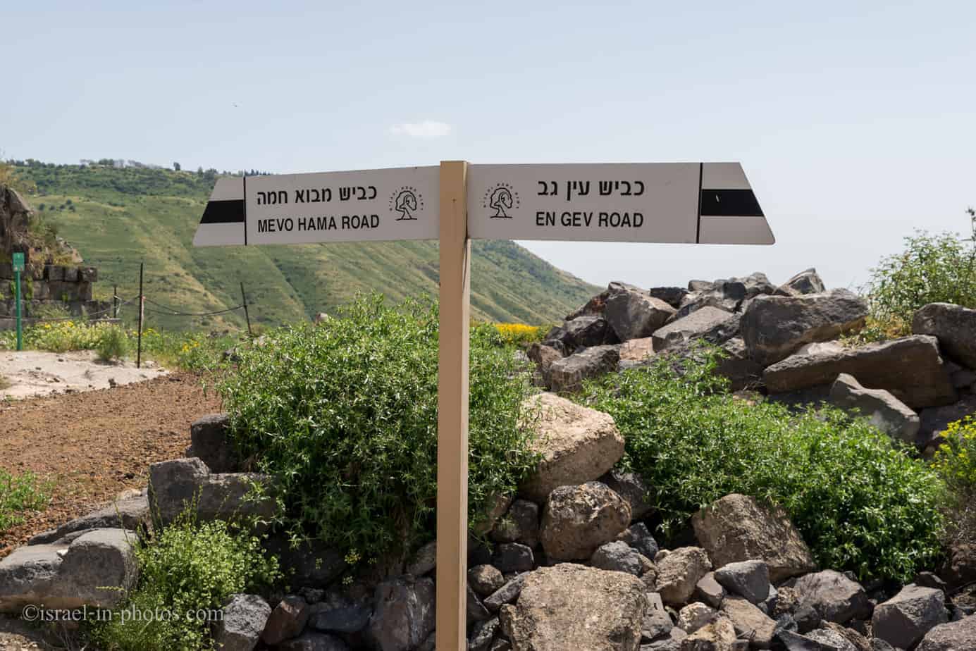 Susita National Park (Hippos) - Visitors Guide - Israel in Photos