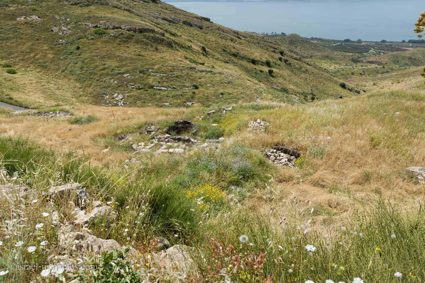 Susita National Park (Hippos) - Visitors Guide - Israel in Photos