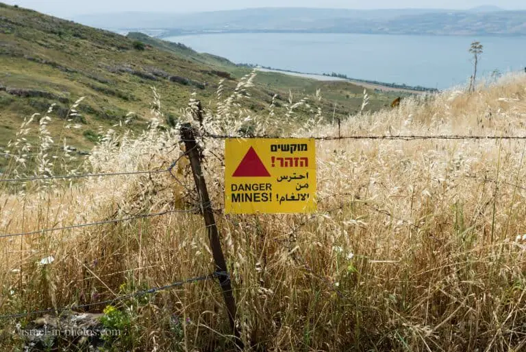 Susita National Park (Hippos) - Visitors Guide - Israel in Photos