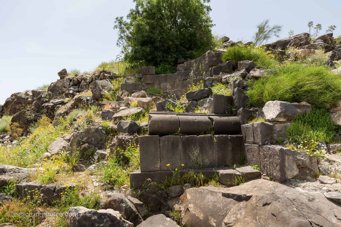 Susita National Park (Hippos) - Visitors Guide - Israel in Photos