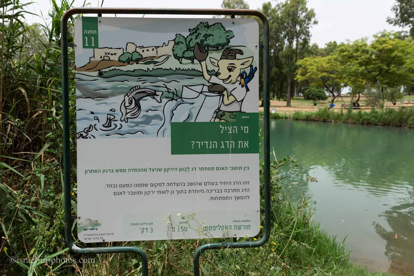 Yarkon National Park - Tel Afek (Antipatris) Compound - Visitors Guide