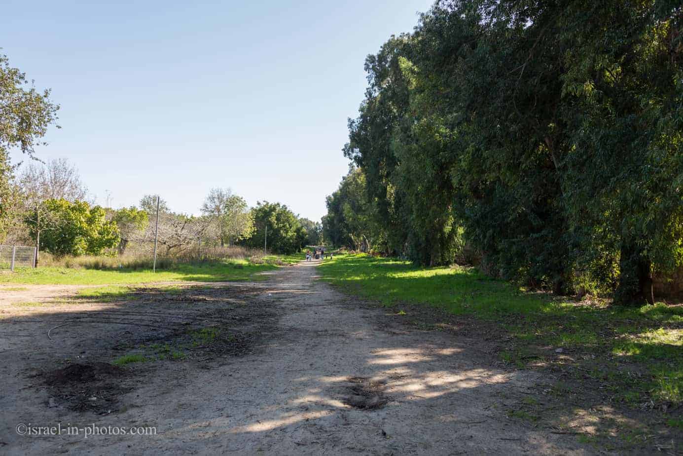 Afeka Caves and Drezner Grove, Tel Aviv - Visitors Guide