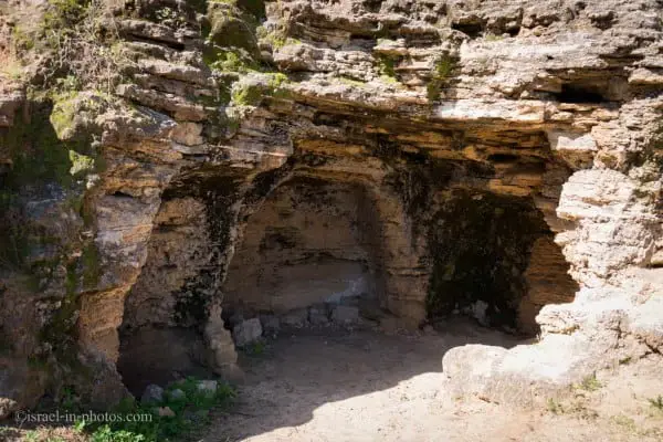 Afeka Caves and Drezner Grove, Tel Aviv - Visitors Guide