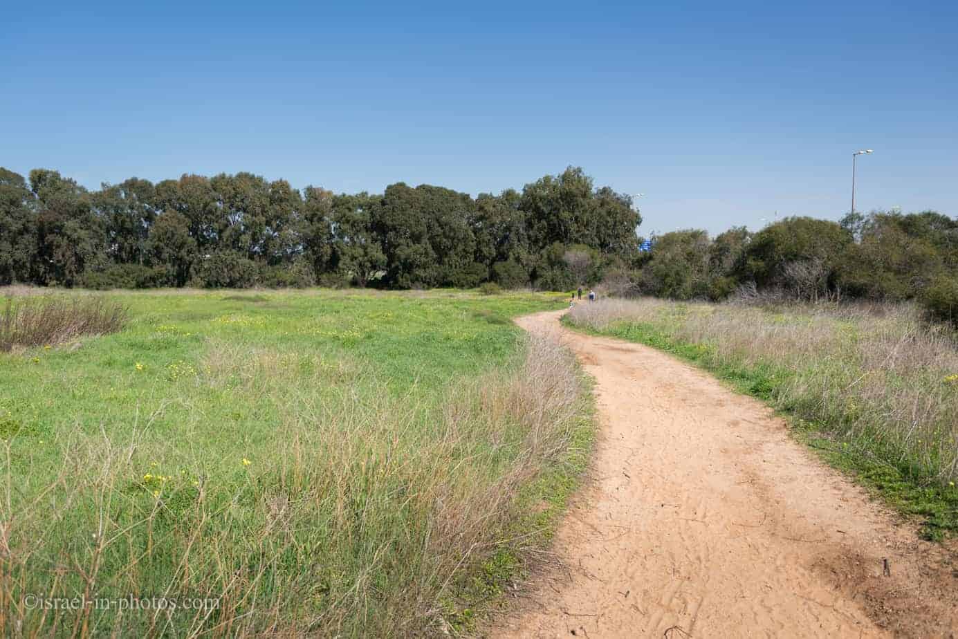 Afeka Caves and Drezner Grove, Tel Aviv - Visitors Guide