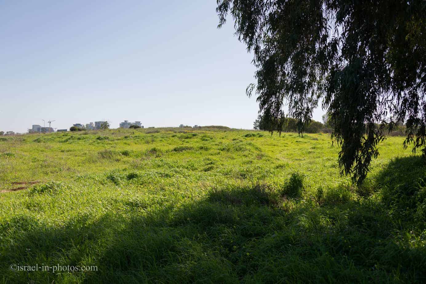 Afeka Caves and Drezner Grove, Tel Aviv - Visitors Guide