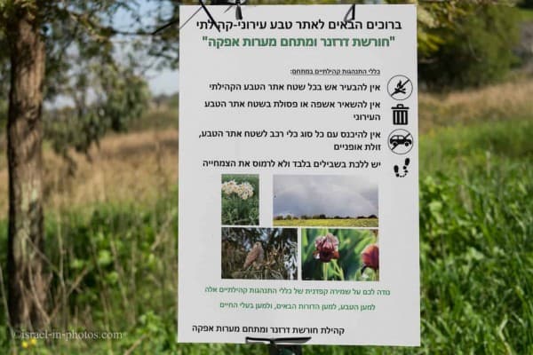 Afeka Caves and Drezner Grove, Tel Aviv - Visitors Guide