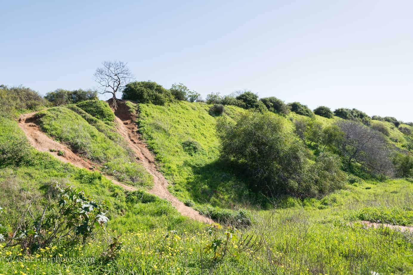 Afeka Caves and Drezner Grove, Tel Aviv - Visitors Guide