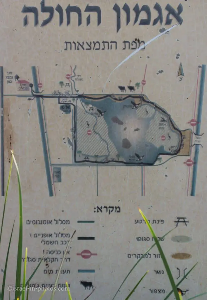 Agamon Hula - Must For Bird Lovers - Full Guide - Travel Israel