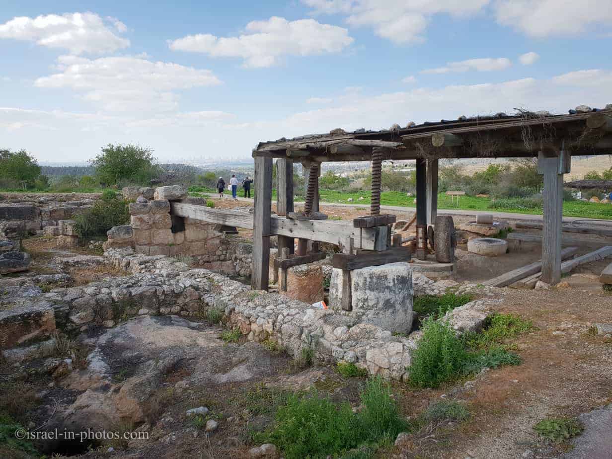 Neot Kedumim Park - Visitors Guide
