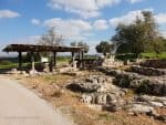 Neot Kedumim Park - Visitors Guide