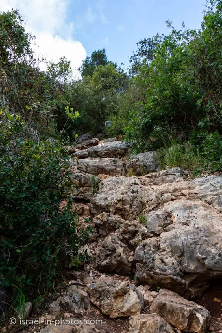 Finger Cave - Short Loop Track at Carmel Mountain