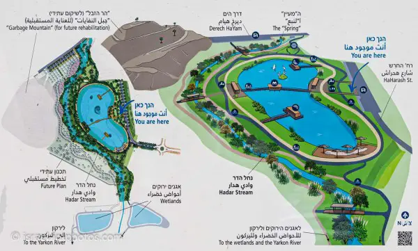 Hod HaSharon Park - Park by Ecological Lake - Visitors Guide