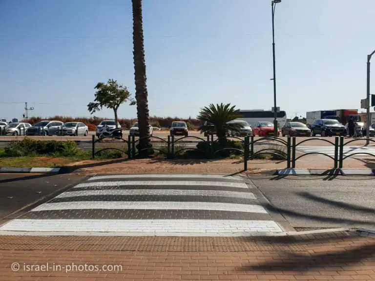 Raanana Park - Ideal place for Families - Visitors Guide