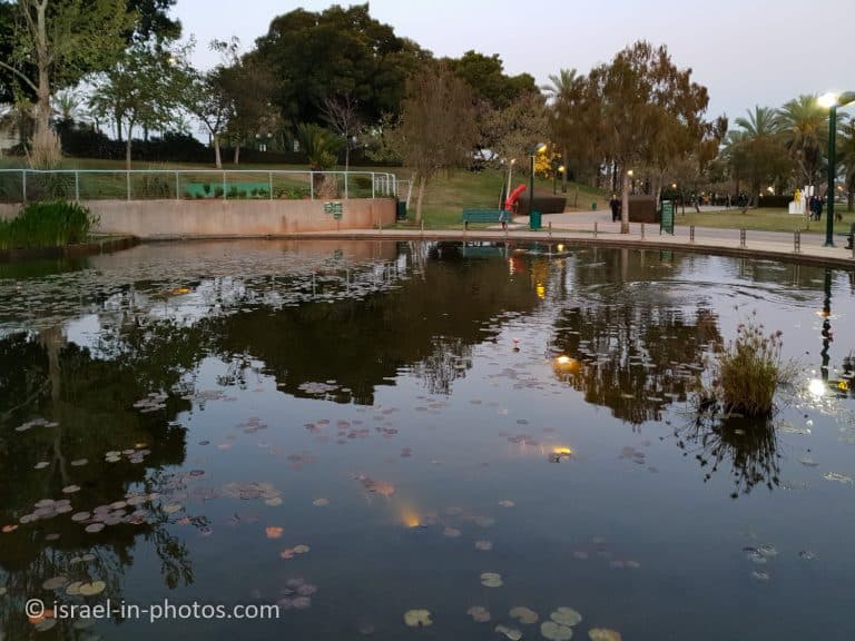 Kfar Saba Park - Full Visitors Guide
