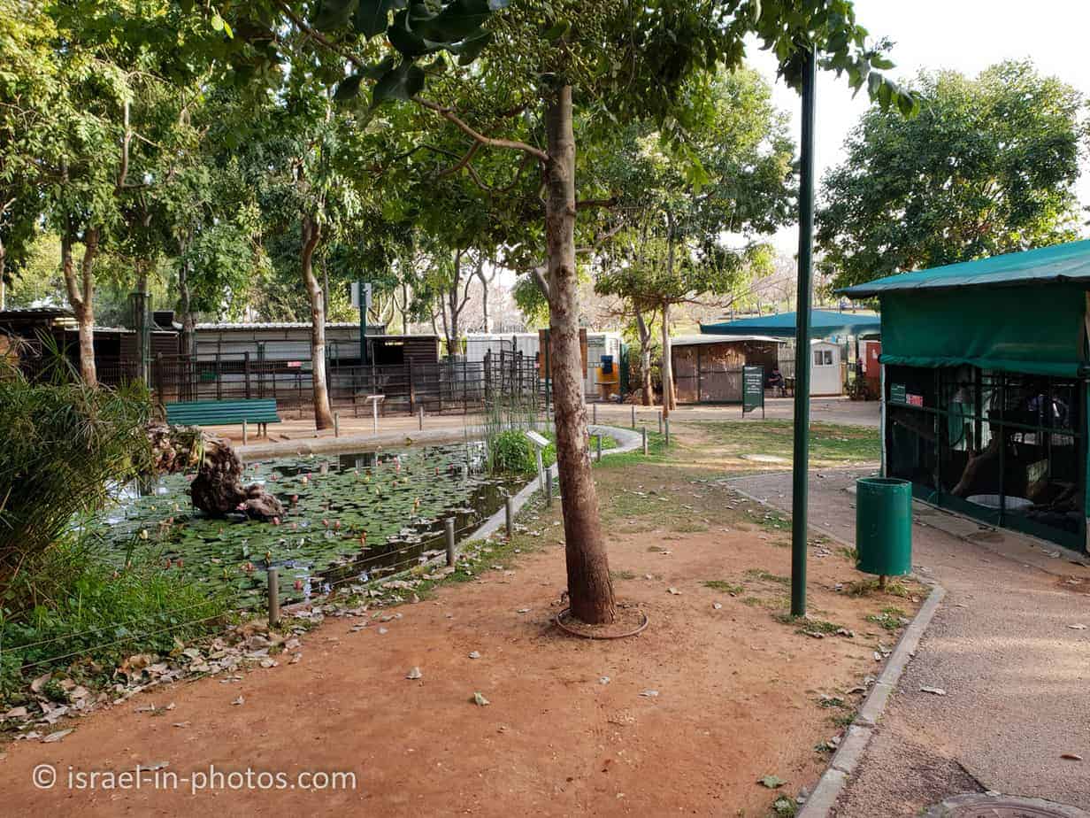 Kfar Saba Park - Full Visitors Guide