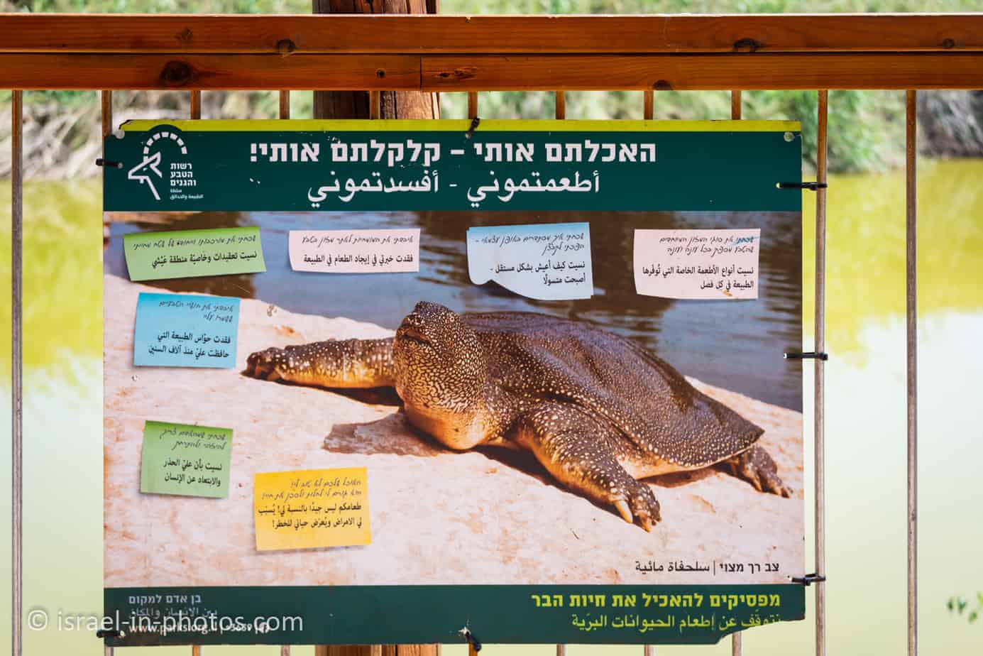 Turtle Bridge at Alexander River - Visitors Guide (with Tracks)