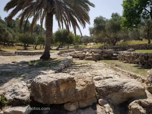 Ayalon-Canada Park – Visitors Guide (Map, Trails, and More)