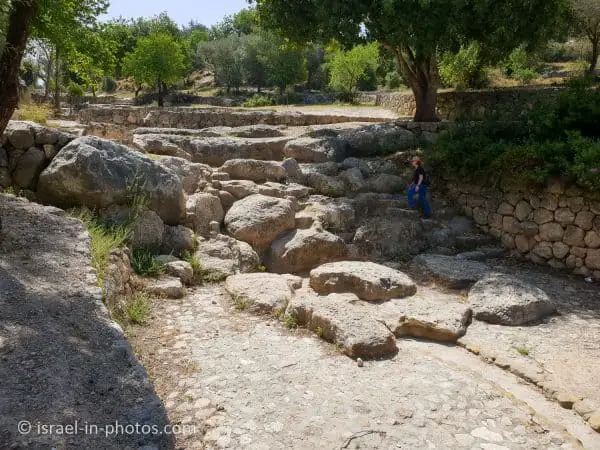 Ayalon-Canada Park – Visitors Guide (Map, Trails, and More)