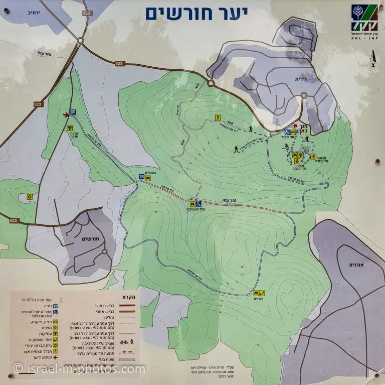Horshim Forest - Visitors Guide (Map, Trails, and More)