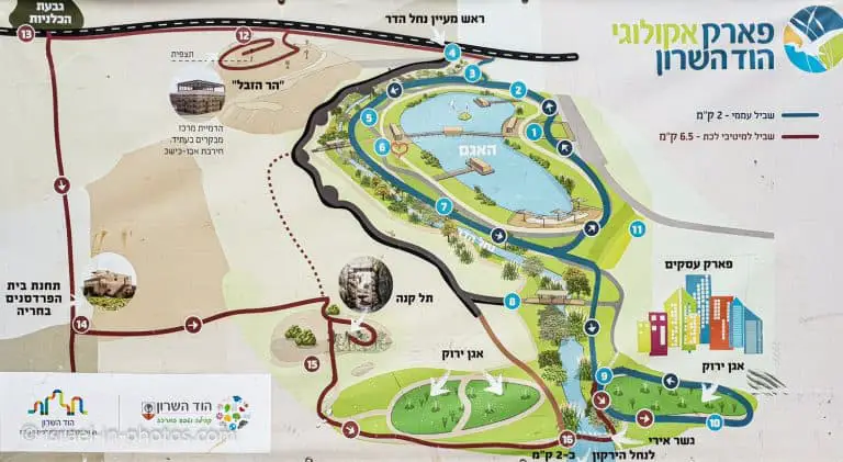 Hod HaSharon Park - Park by Ecological Lake - Visitors Guide