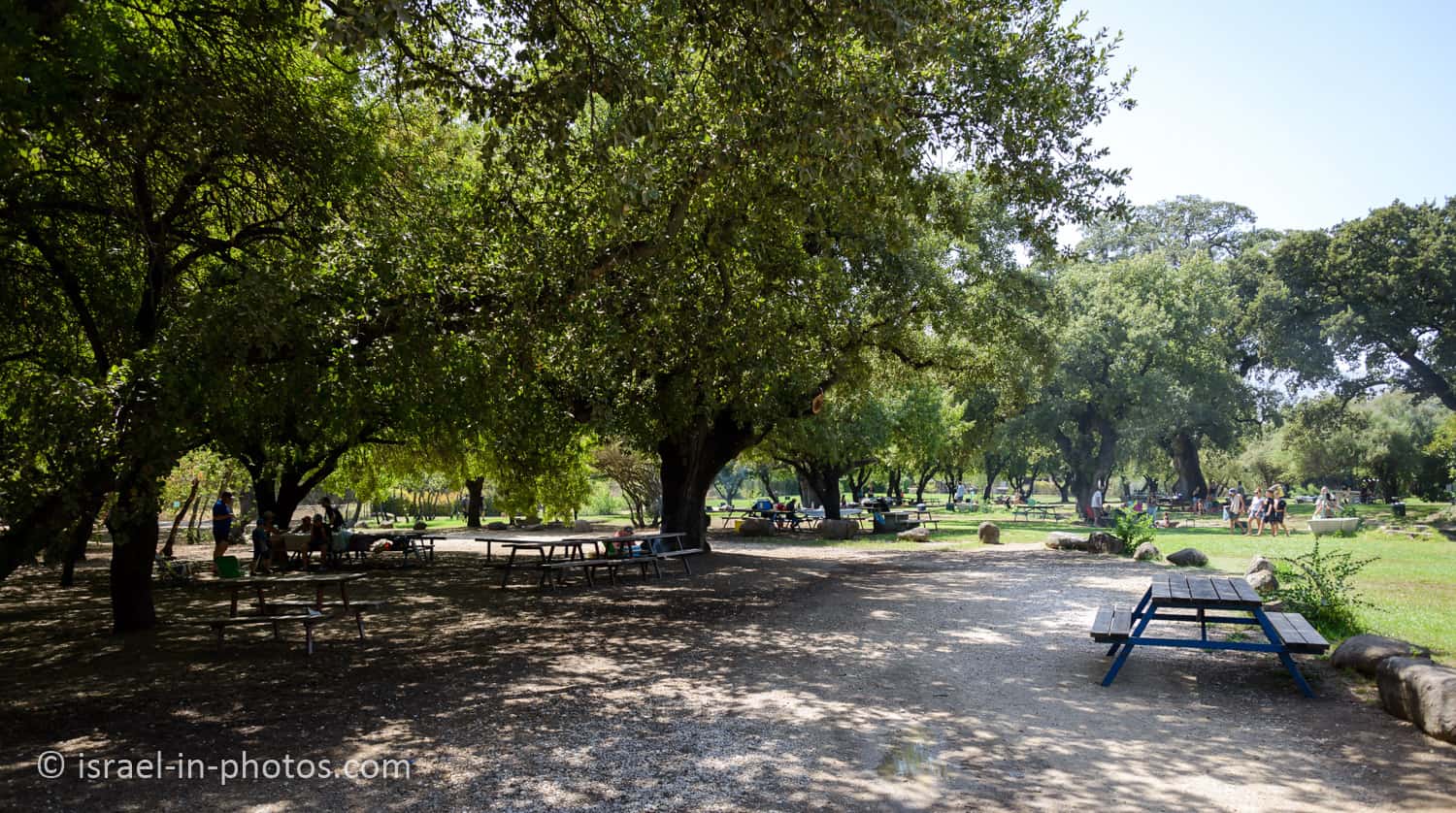 Horshat Tal National Park - Visitors Guide with Photos