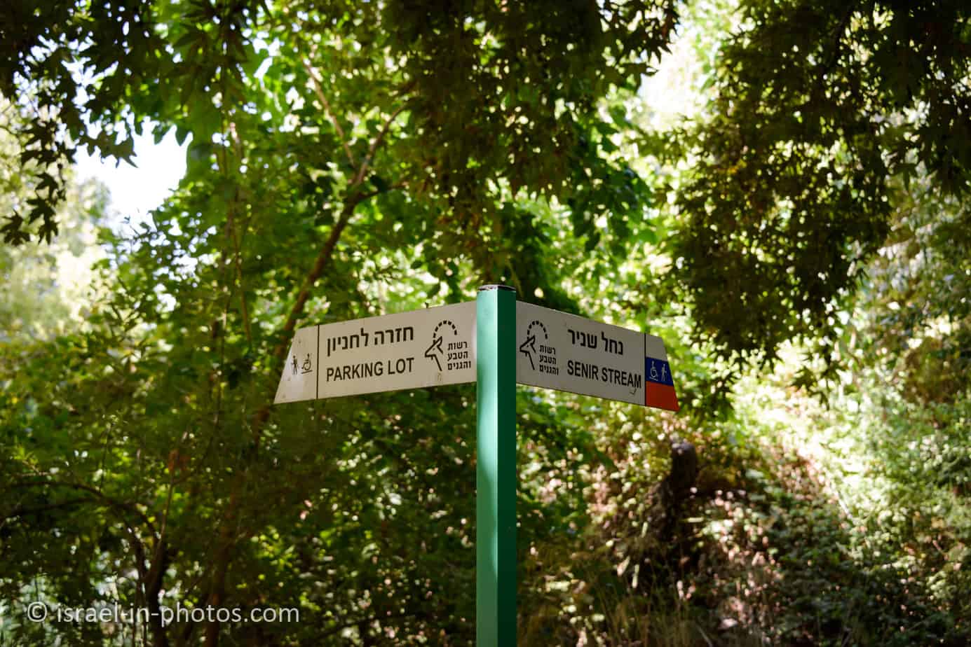 Snir Stream Nature Reserve (Hasbani) - Visitors Guide