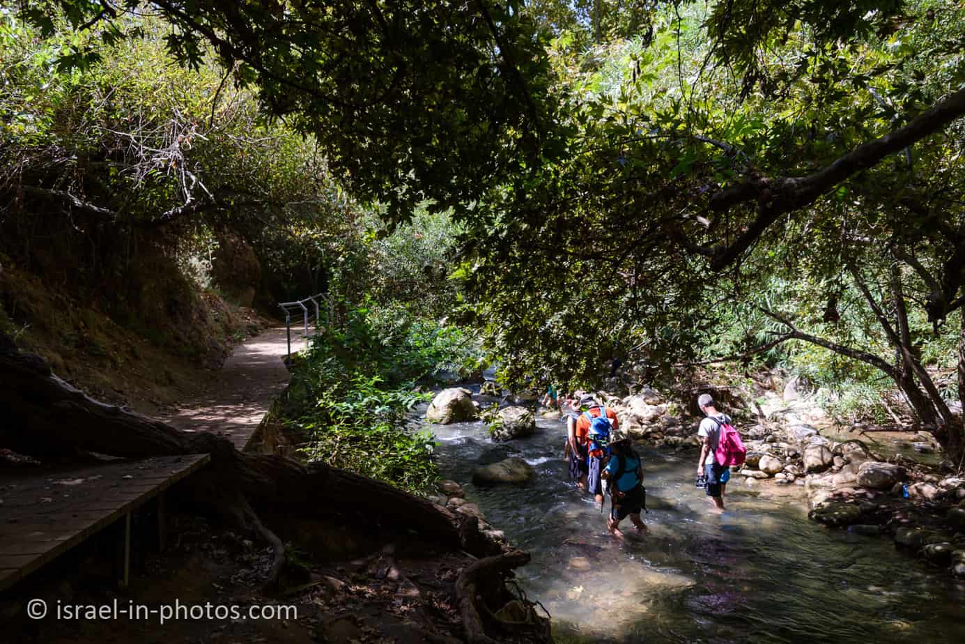 Snir Stream Nature Reserve (Hasbani) - Visitors Guide