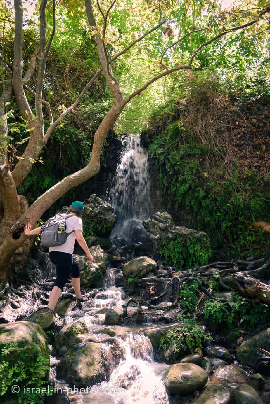 Snir Stream Nature Reserve (Hasbani) - Visitors Guide