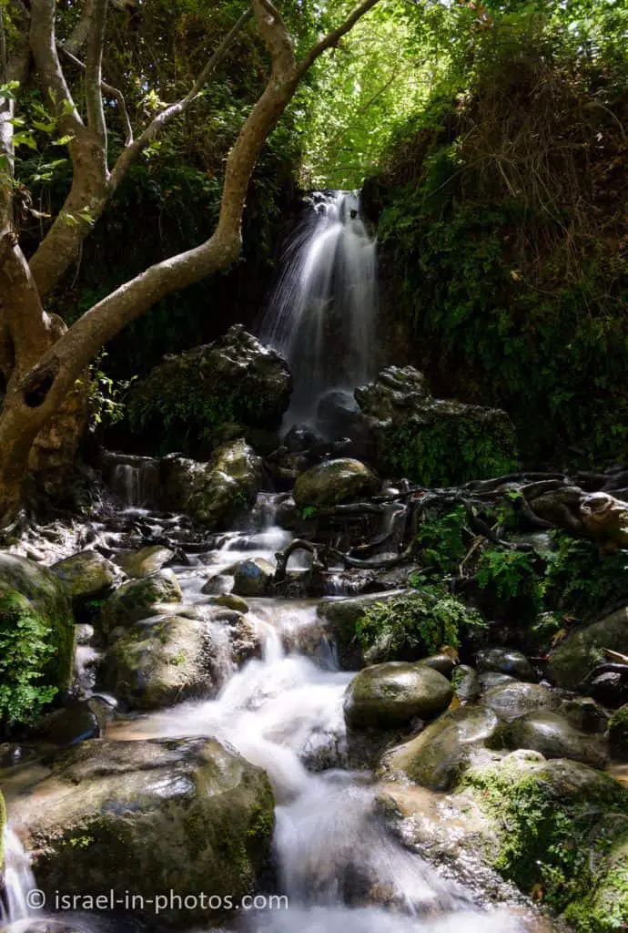 Snir Stream Nature Reserve (Hasbani) - Visitors Guide