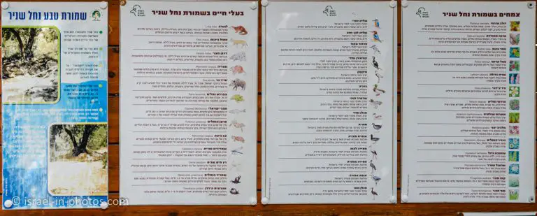 Snir Stream Nature Reserve (Hasbani) - Visitors Guide