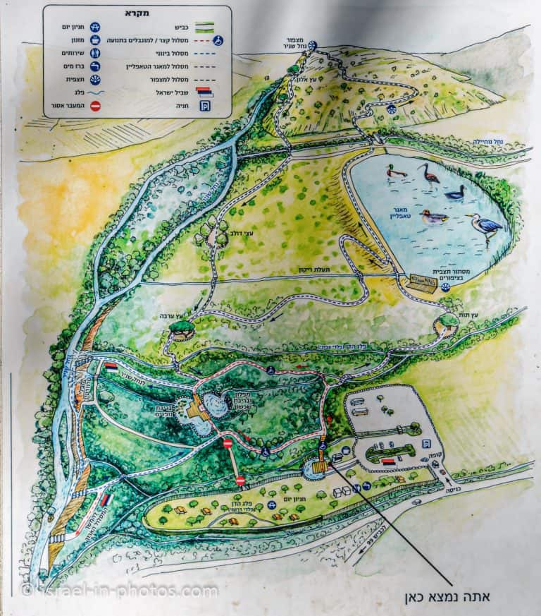 Snir Stream Nature Reserve (Hasbani) - Visitors Guide