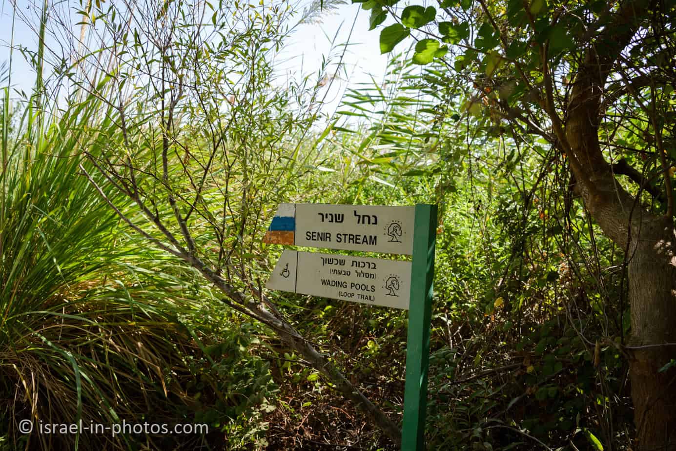 Snir Stream Nature Reserve (Hasbani) - Visitors Guide