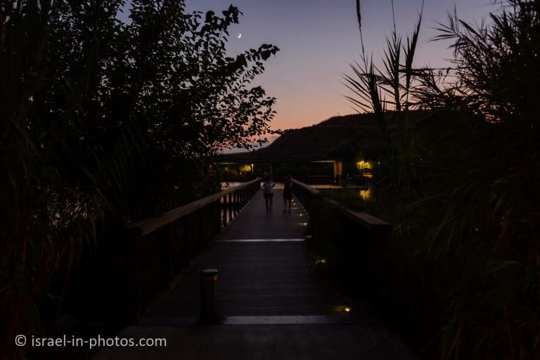 Hod HaSharon Park - Park by Ecological Lake - Visitors Guide