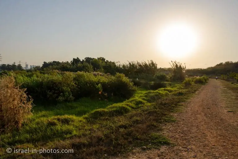 Hod HaSharon Park - Park by Ecological Lake - Visitors Guide