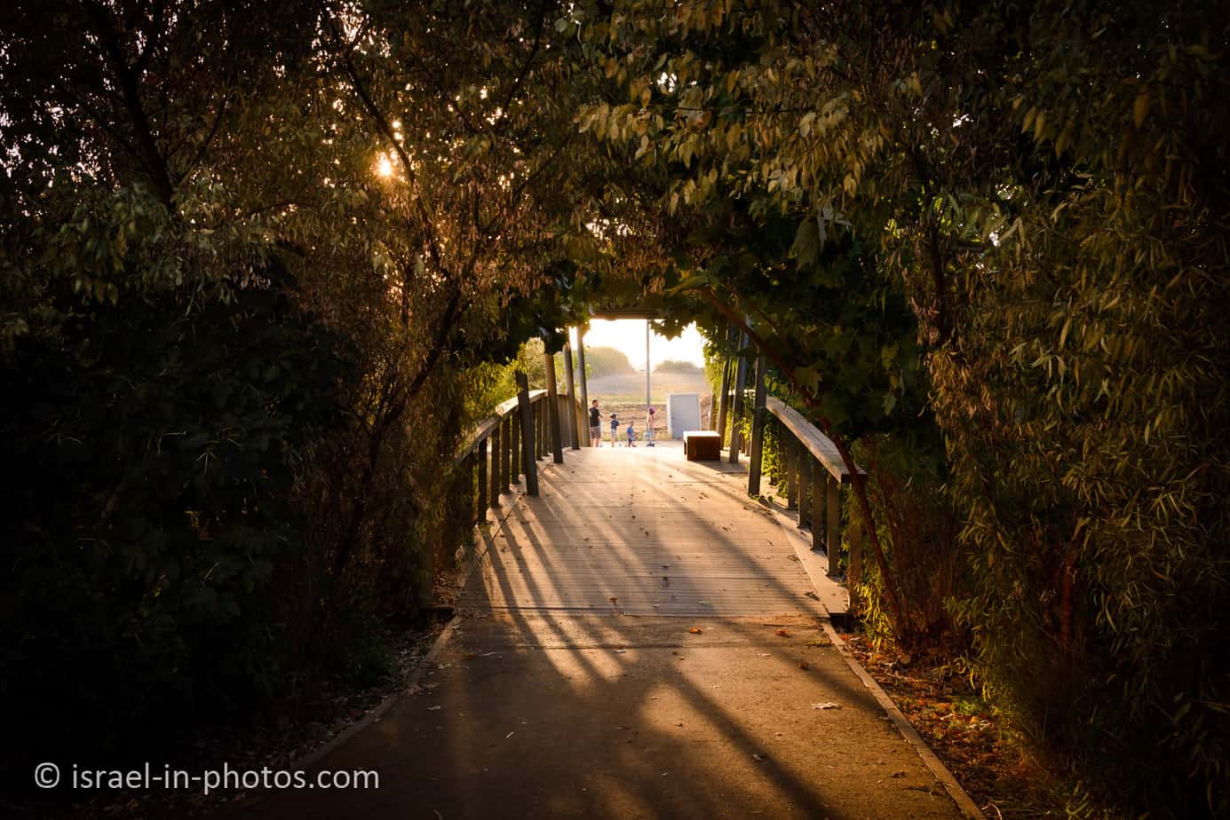 Hod HaSharon Park - Park by Ecological Lake - Visitors Guide