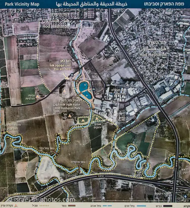 Hod HaSharon Park - Park by Ecological Lake - Visitors Guide
