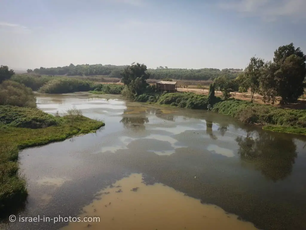 Agamon Poleg - Short Birding Family Trip around Lake Udim