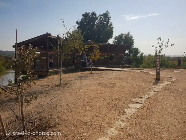 Agamon Poleg - Short Birding Family Trip around Lake Udim