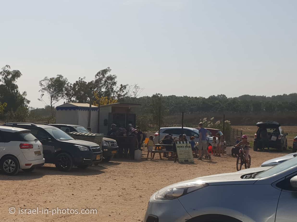 Agamon Poleg - Short Birding Family Trip around Lake Udim