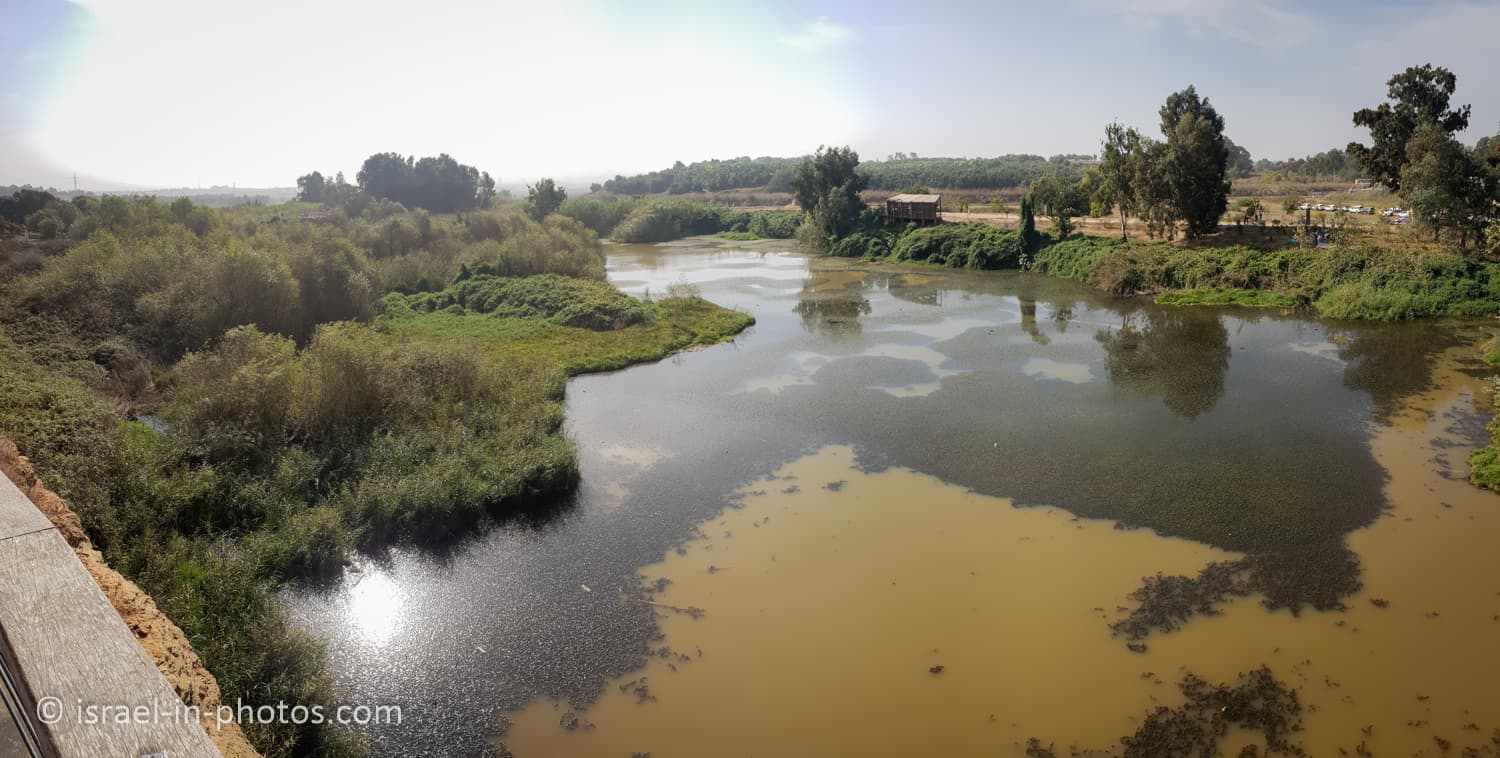 Agamon Poleg - Short Birding Family Trip around Lake Udim