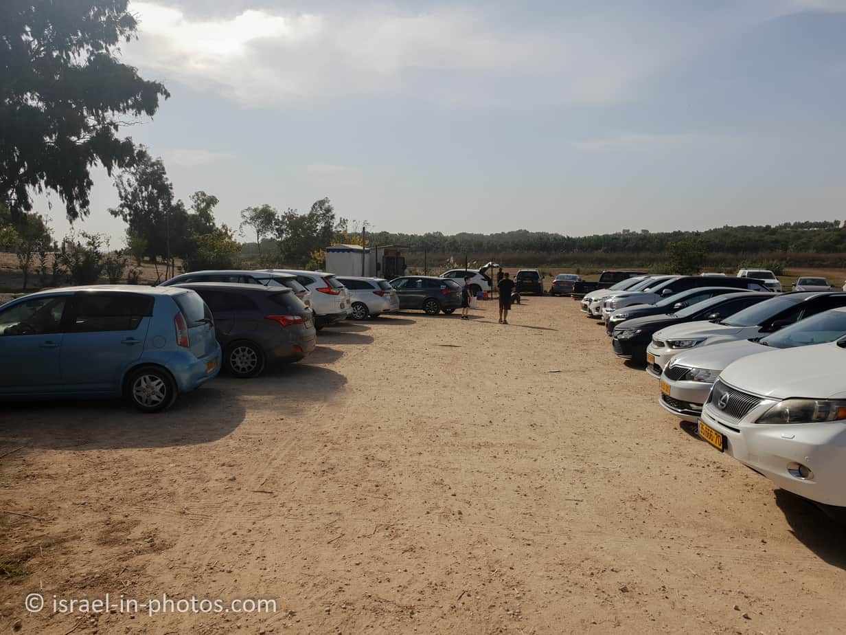 Agamon Poleg - Short Birding Family Trip around Lake Udim