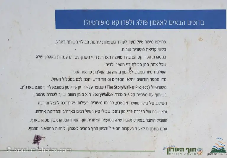 Agamon Poleg - Short Birding Family Trip around Lake Udim