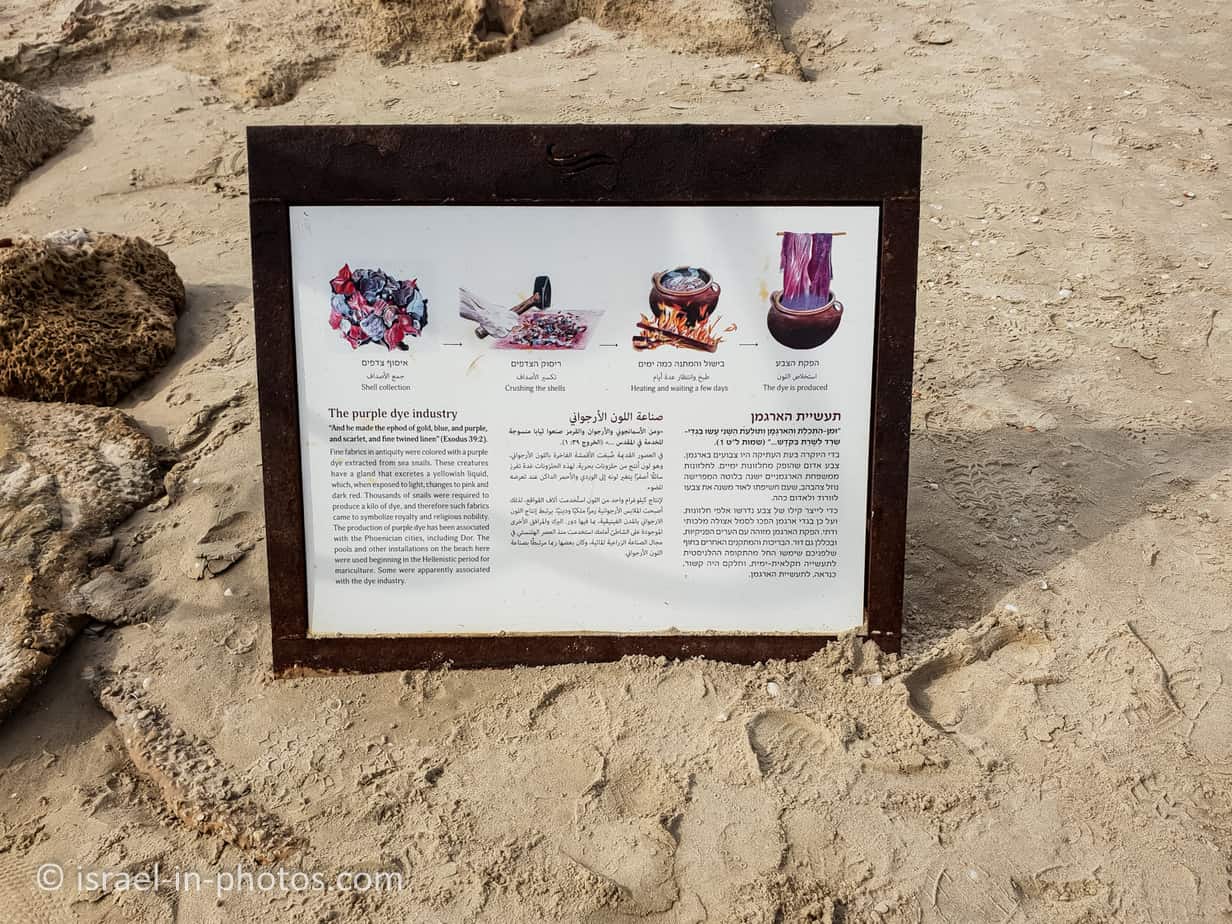 Tel Dor National Park - Visitors Guide (Map, Trails, and More)