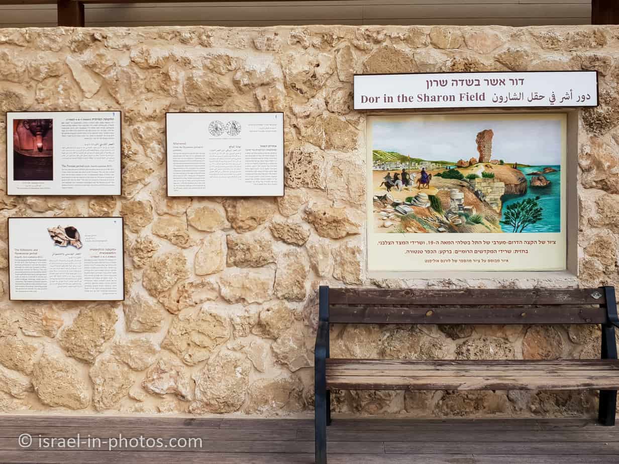Tel Dor National Park - Visitors Guide (Map, Trails, and More)