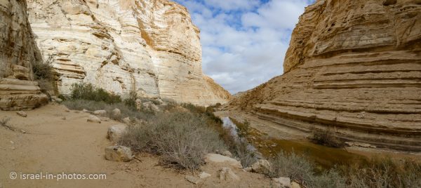 Ein Avdat National Park - Visitors Guide with Map and Tracks