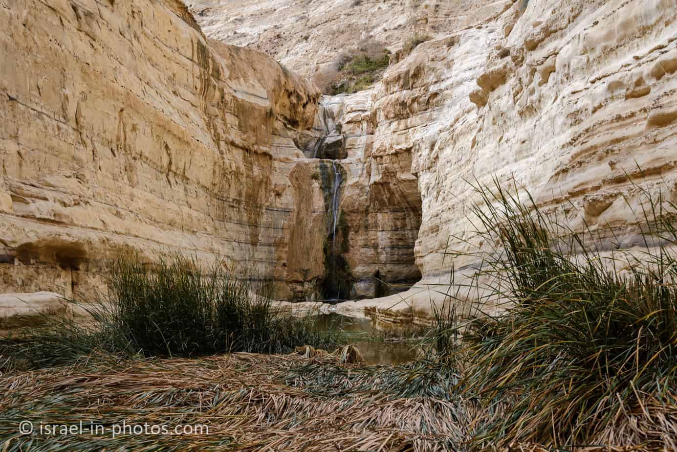 Ein Avdat National Park - Visitors Guide with Map and Tracks