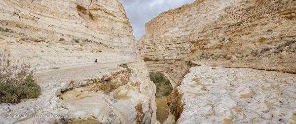 Ein Avdat National Park - Visitors Guide with Map and Tracks