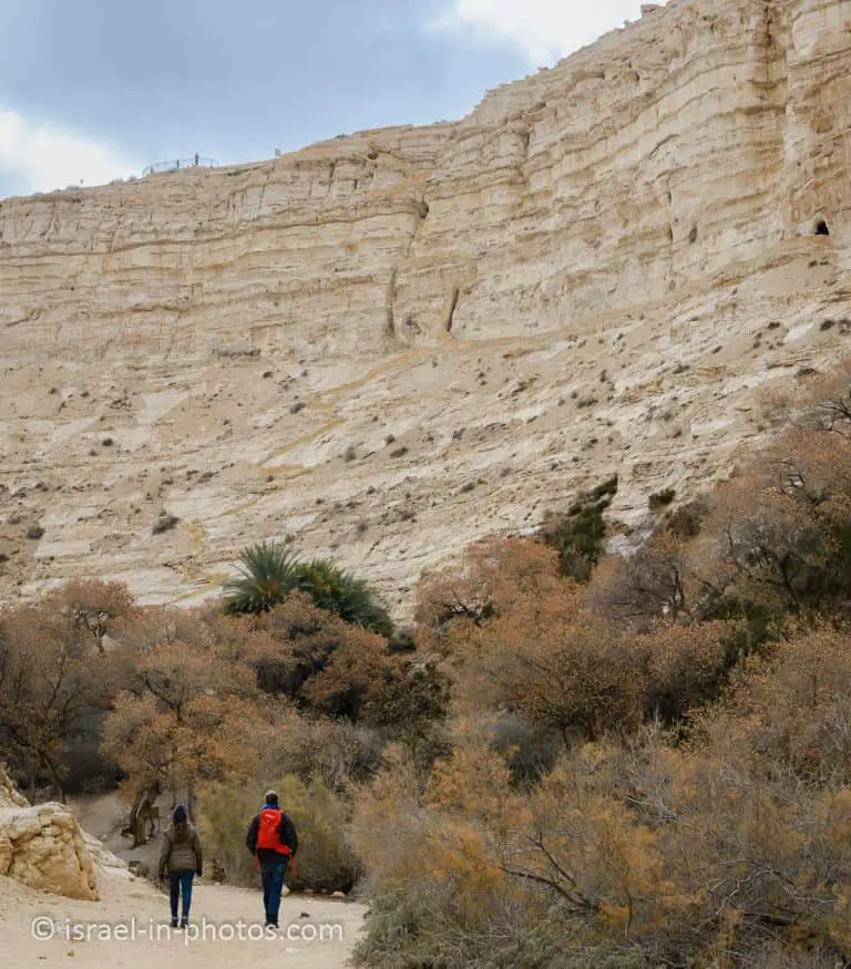 Ein Avdat National Park - Visitors Guide with Map and Tracks